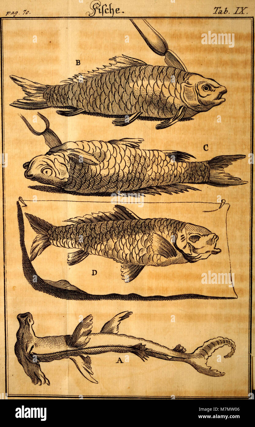 This guide provides instructions for collecting, preparing, preserving ...