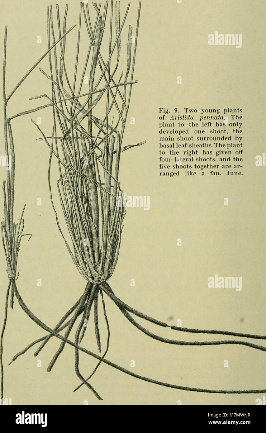 This image depicts workers in the Botanical Garden of Copenhagen in ...