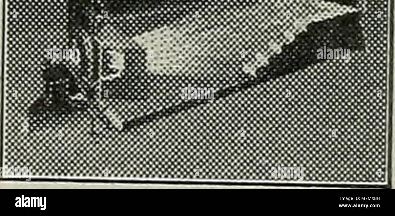 An architect and engineer from 1920, involved in the design and ...