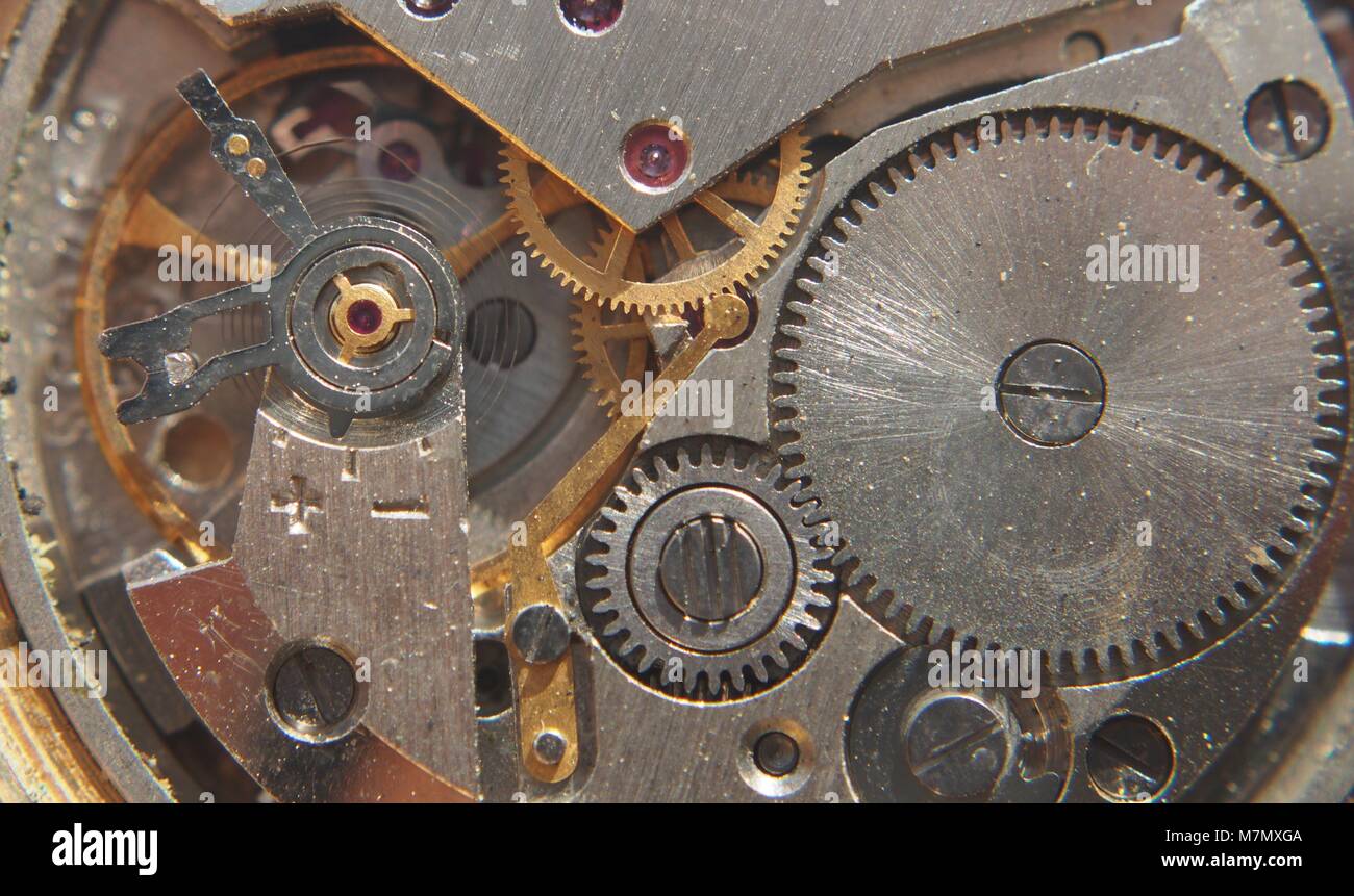 Clockwork. Gears, springs and other parts of the watch are visible ...