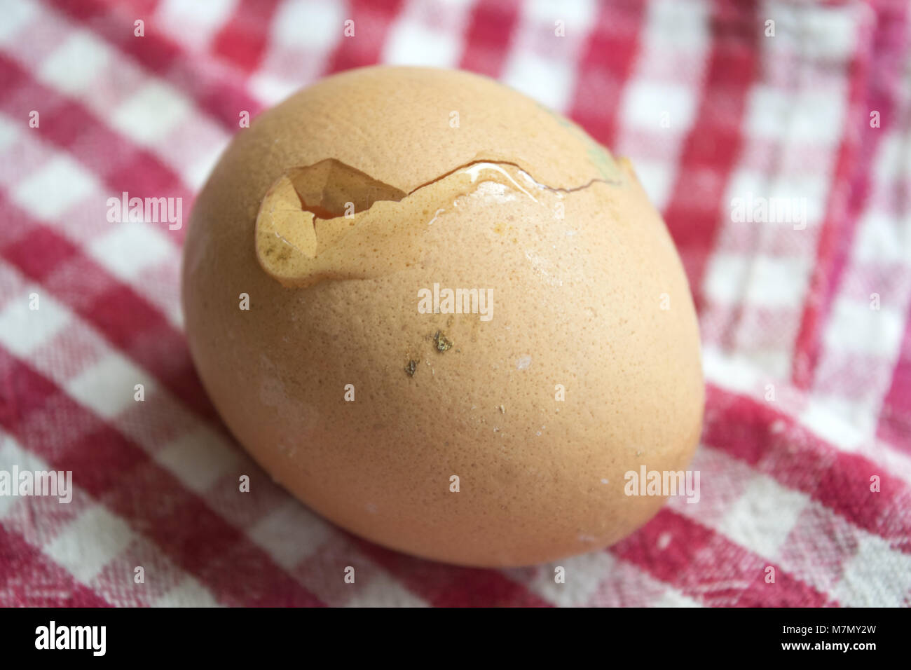Broken fresh chicken egg hi-res stock photography and images - Alamy