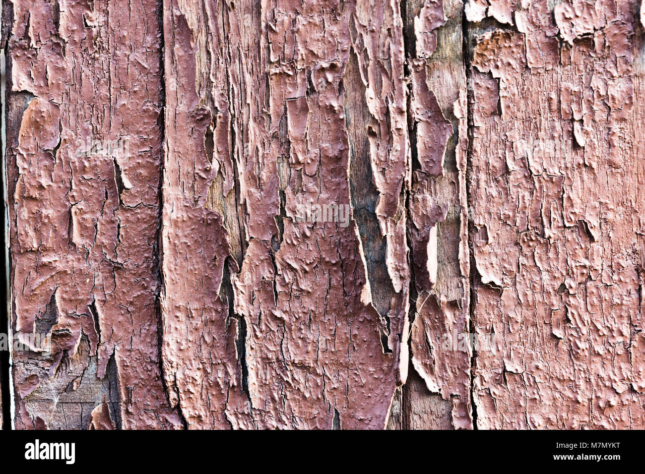 Paint peeling flaky flaking hi-res stock photography and images - Alamy