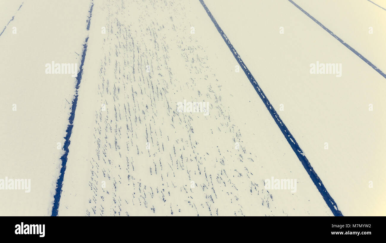 Snow covering withered crops Stock Photo - Alamy