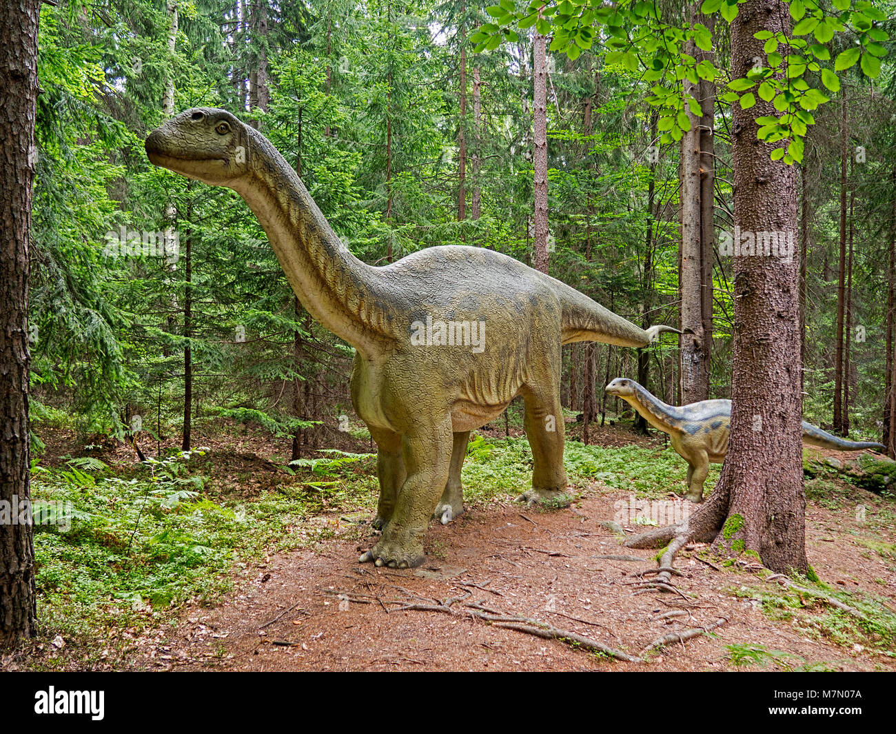 Sauropoda hi-res stock photography and images - Alamy