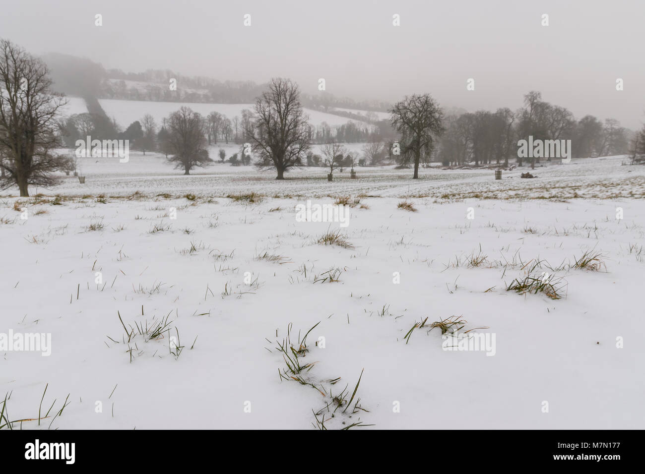 Snow covered fields in hi-res stock photography and images - Alamy