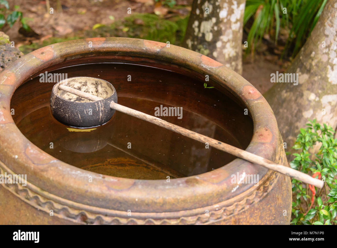 A half coconut shell with a stick attached float on an urn of rainwater ...