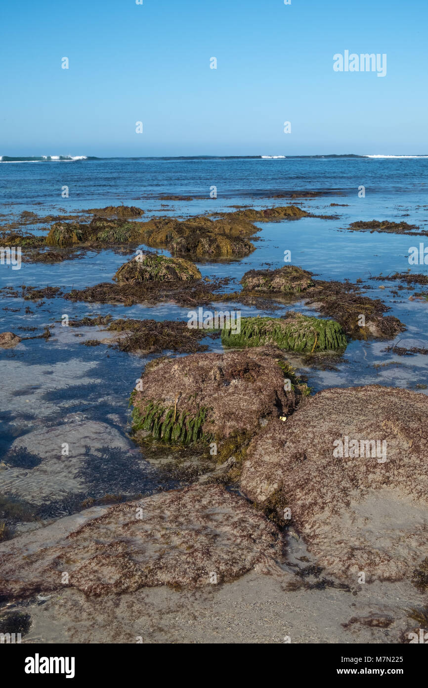 Rock Pools at Ocean Beach, Port Fairy, Victoria, Australia Stock Photo ...