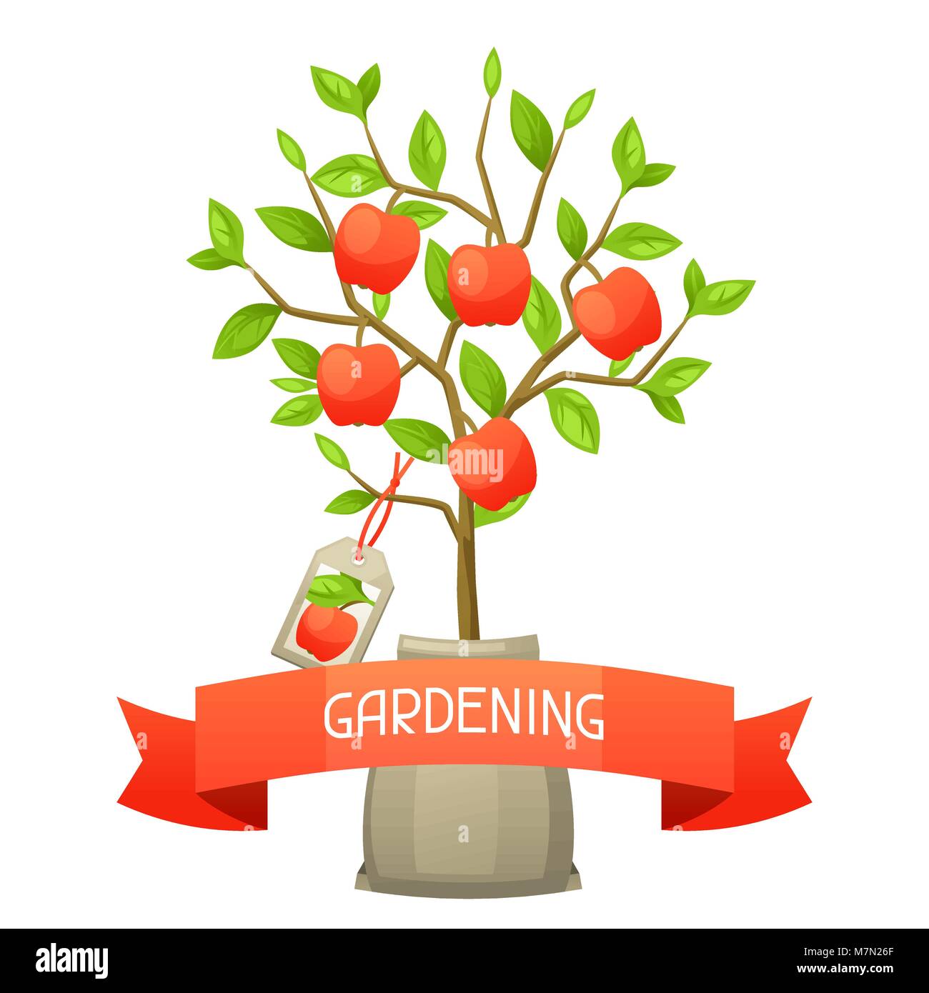 Seedling of apple tree with tag. Illustration for agricultural booklets ...