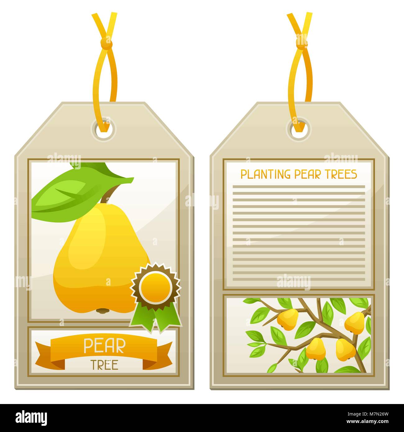 Sale tag of seedlings pear trees. Instructions for planting tree Stock ...