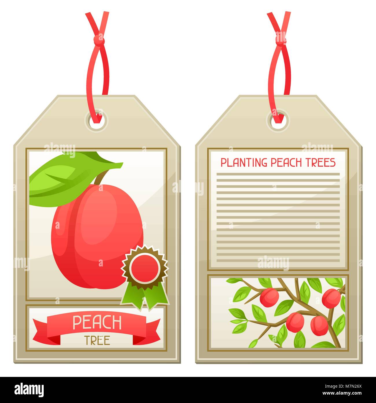 Sale tag of seedlings peach trees. Instructions for planting tree Stock ...