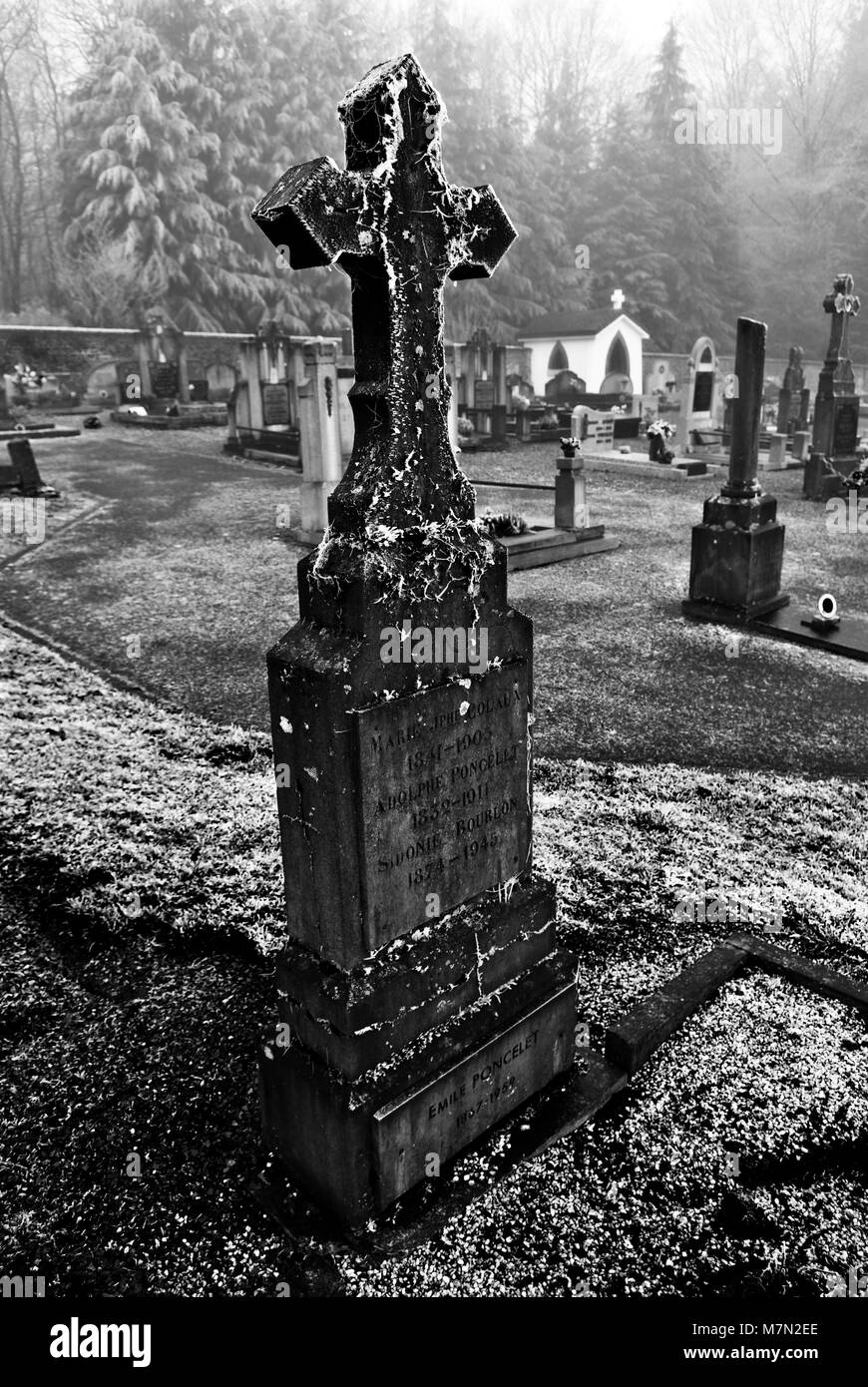 Mysterious belgian cemetery at forest edge in the winter with frost ...