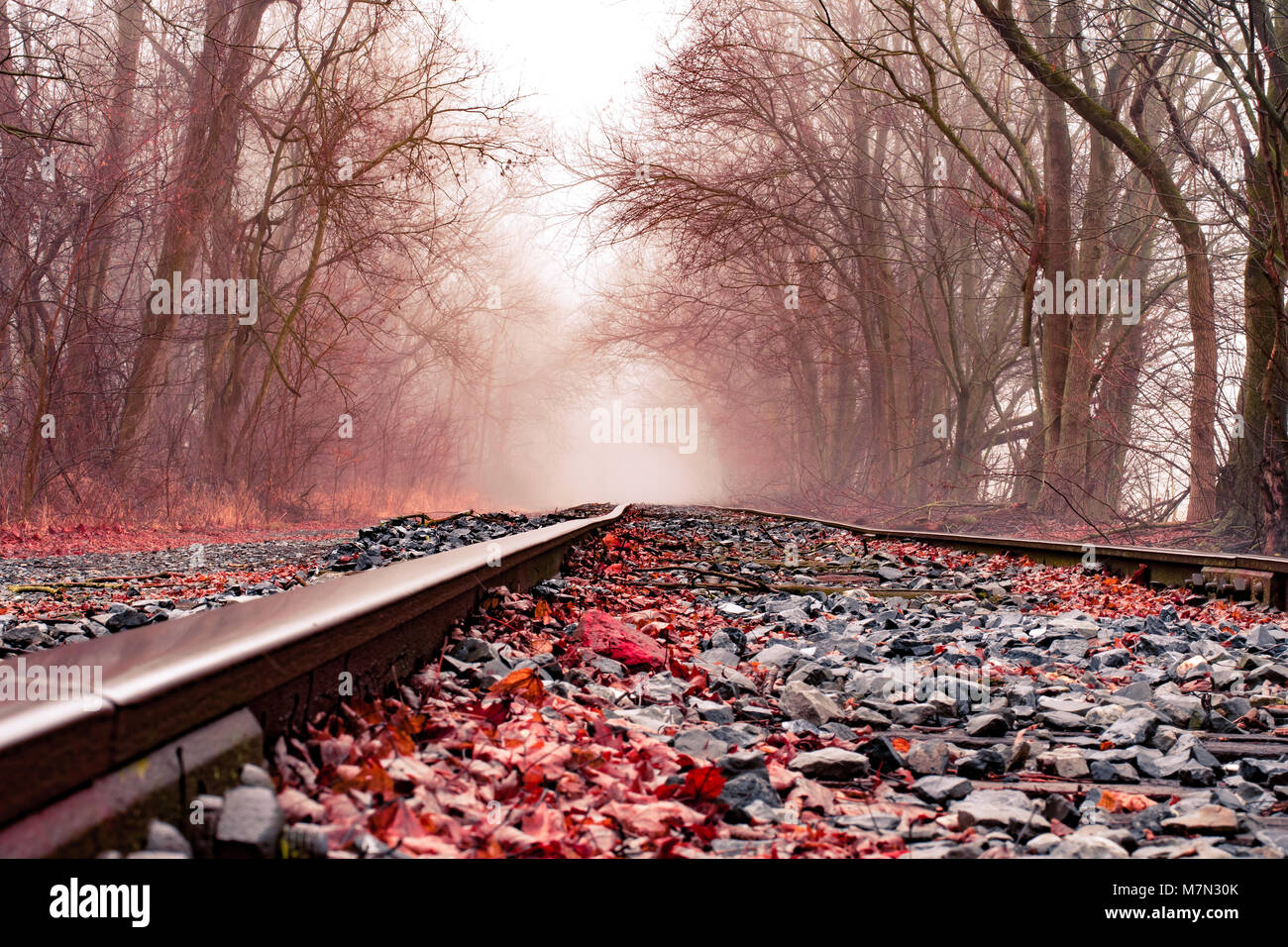 Foggy train tracks hi-res stock photography and images - Alamy