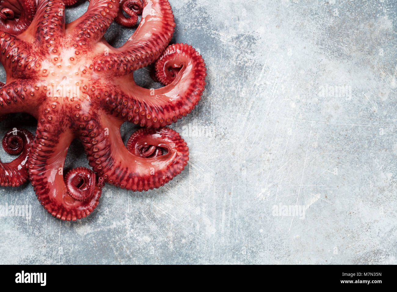 Raw octopus cooking on stone table. Seafood. Top view with space for ...