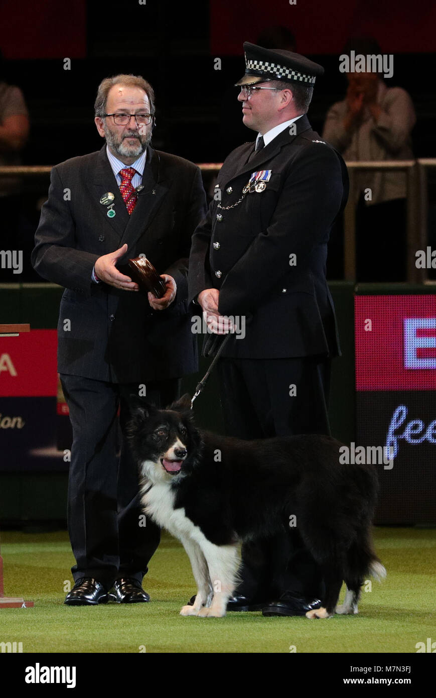 British transport Police dog Mojo, with handler PC Phil Healy, is ...