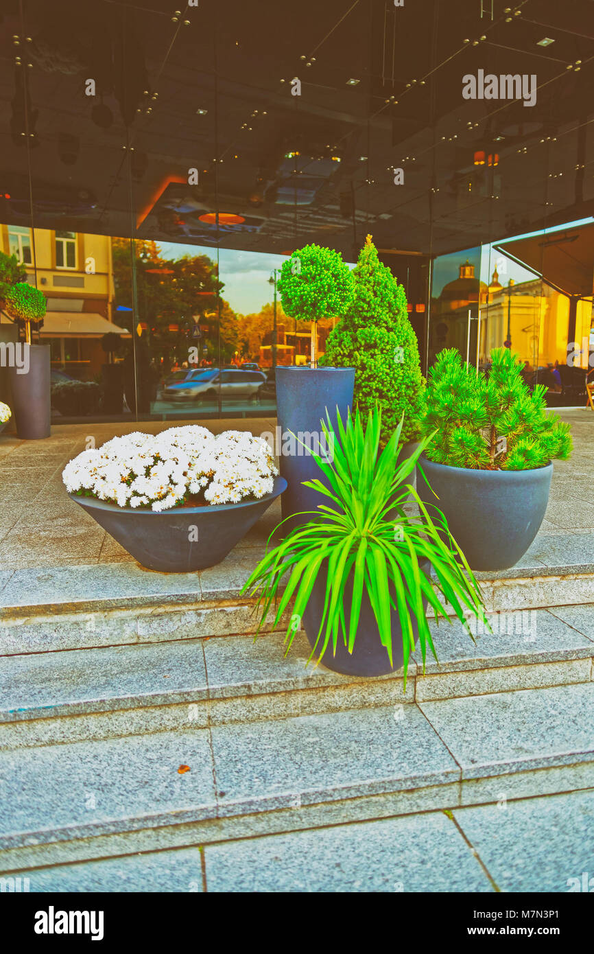 Lithuanian plants hi-res stock photography and images - Alamy