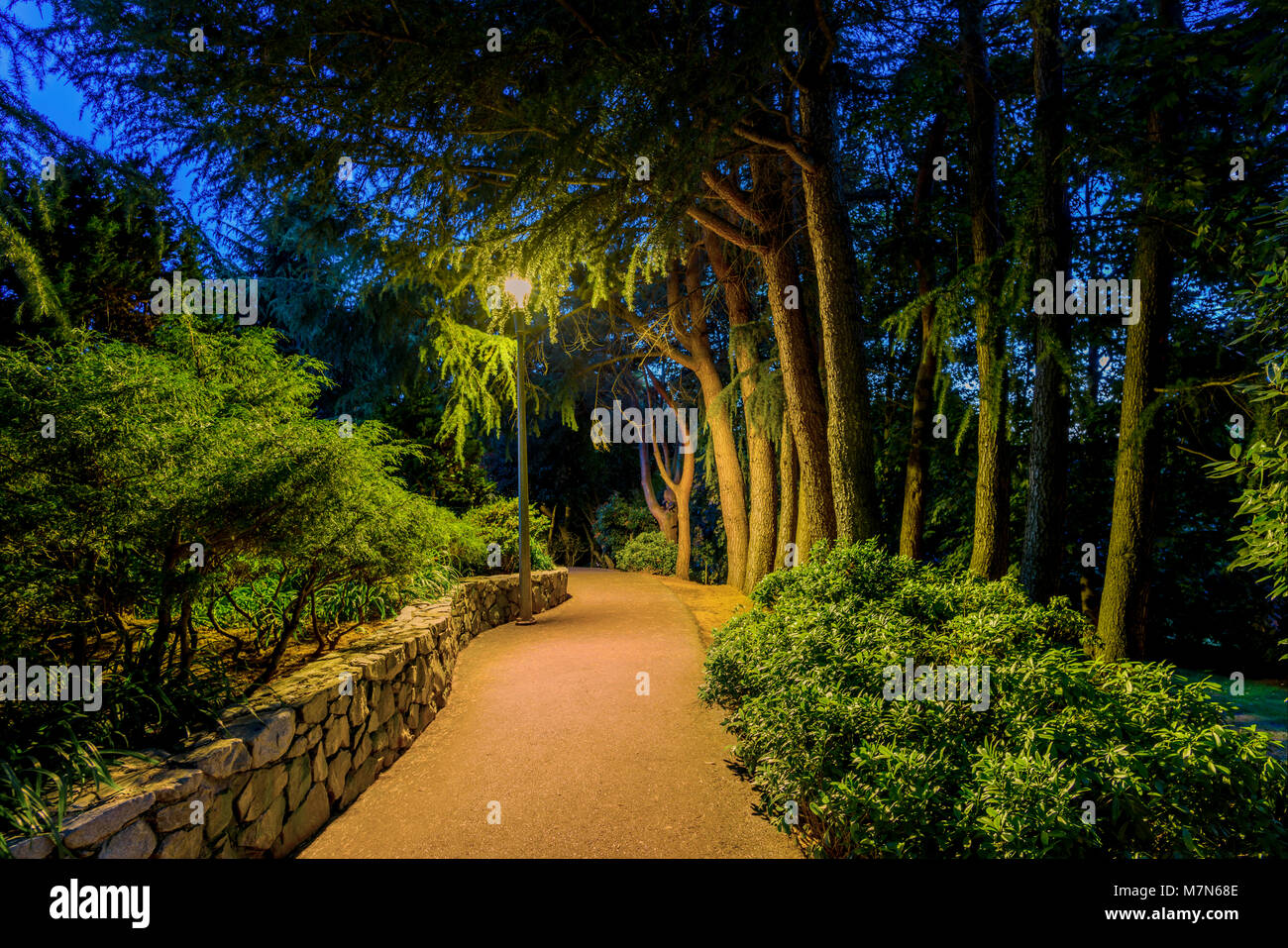 asphalted footpath in a night park, lit by a street lamp, surrounded by ...