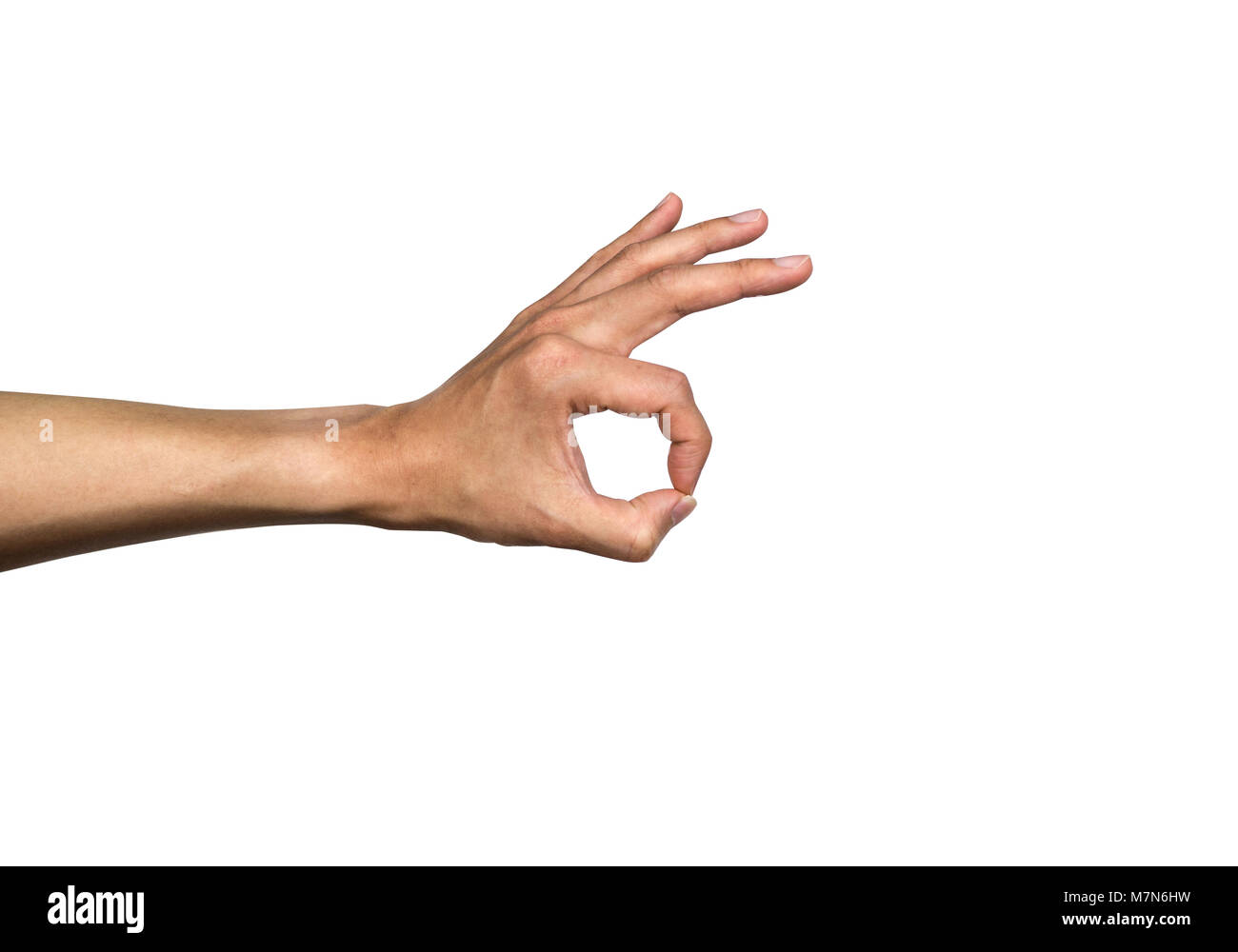 OK or agree hand gesture sign, isolated, with clipping path Stock Photo ...