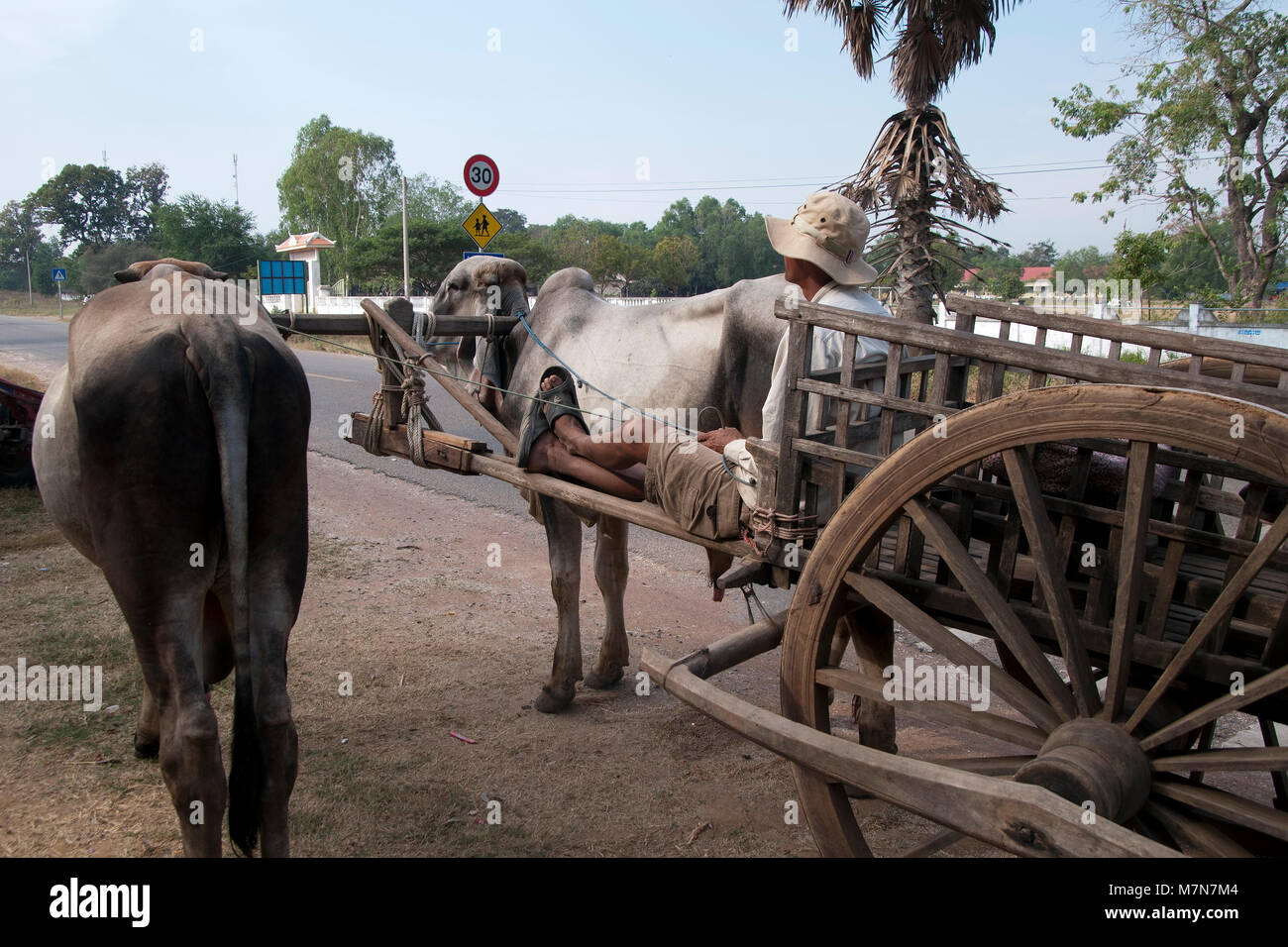 Ox cart cambodia hi-res stock photography and images - Alamy