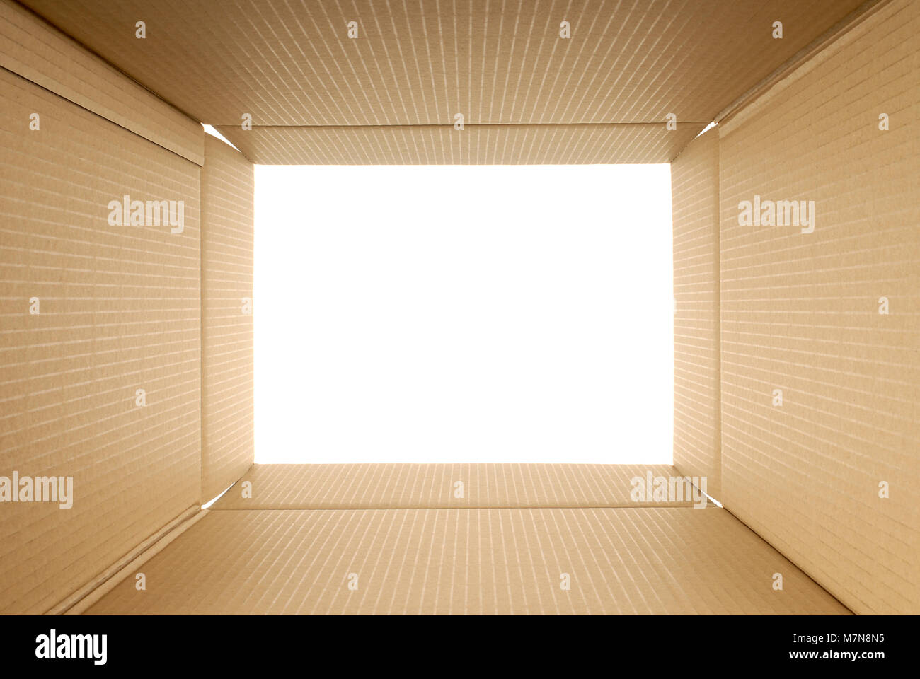 Looking upwards from inside a plain brown cardboard box. Space for copy ...