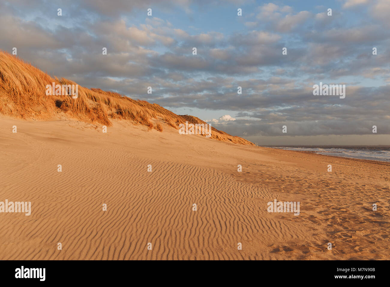 North Sea beach with dunes and the view of the sea Stock Photo - Alamy