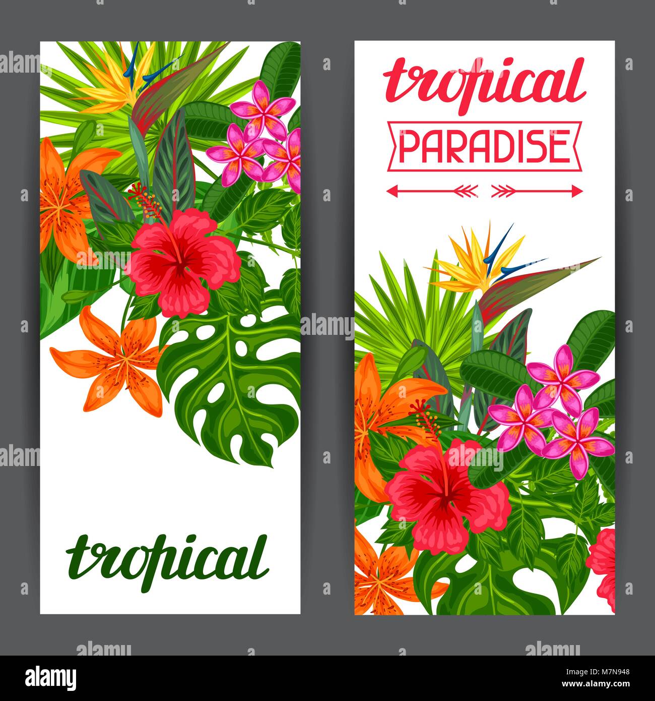 Banners with stylized tropical plants, leaves and flowers. Image for ...