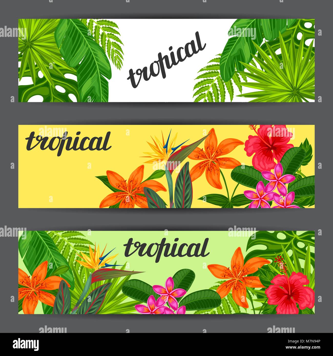 Banners with stylized tropical plants, leaves and flowers. Image for ...