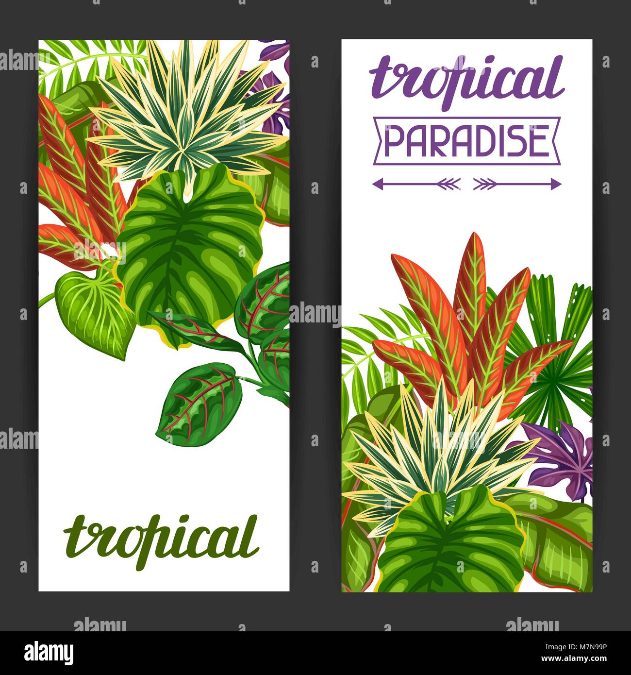 Banners with tropical plants and leaves. Image for advertising booklets ...