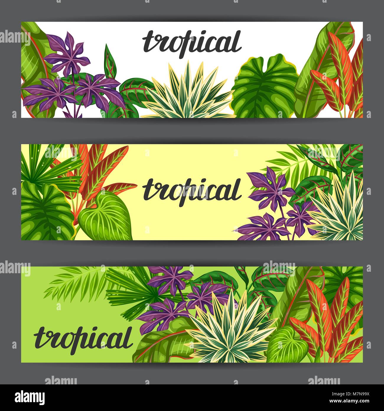Banners with tropical plants and leaves. Image for advertising booklets ...
