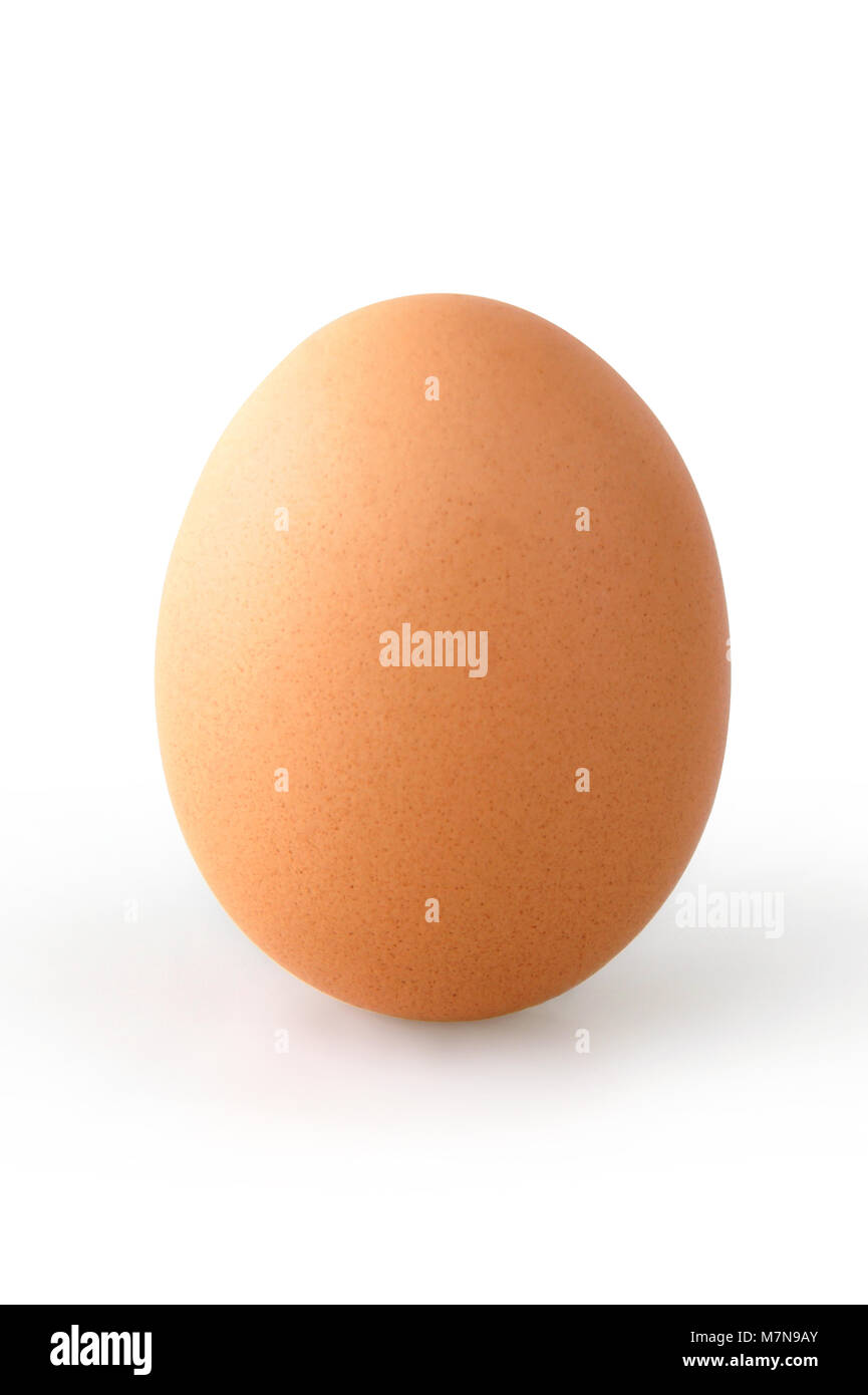 Single Egg isolated over a white background Stock Photo - Alamy
