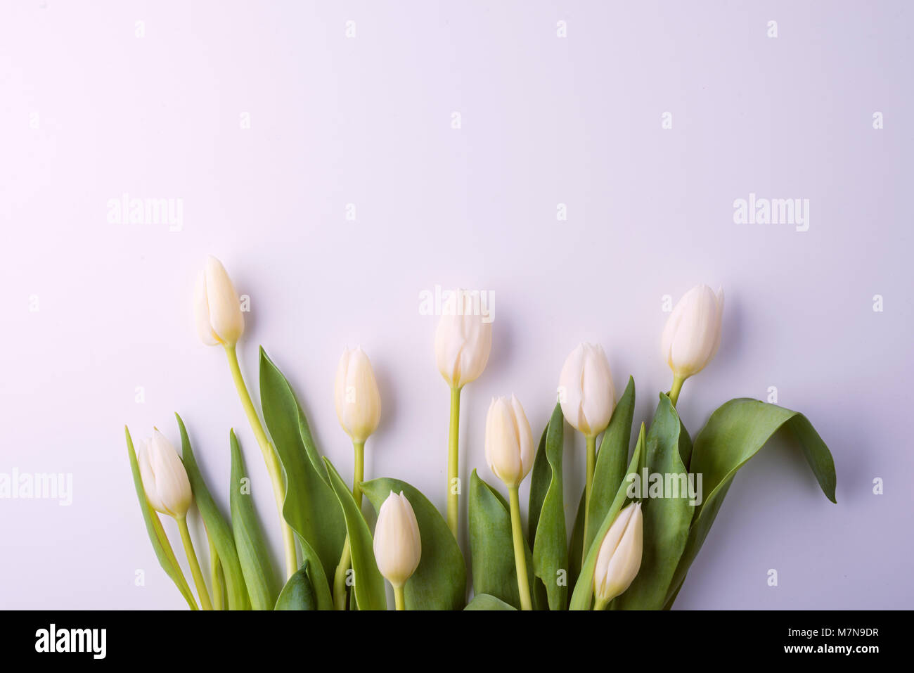 Easter and spring flat lay. Copy space. Studio shot Stock Photo - Alamy