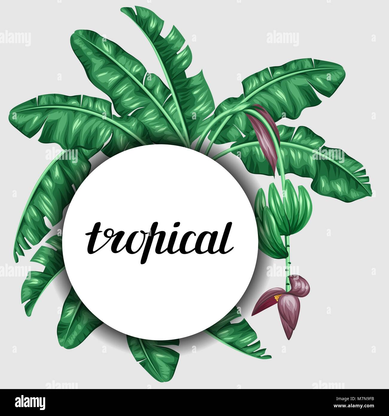 Background with banana leaves. Decorative image of tropical foliage ...