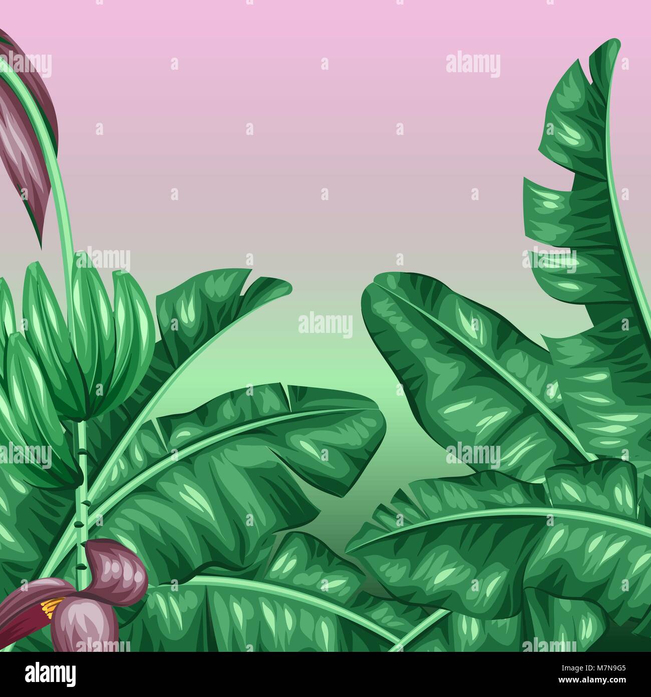 Background with banana leaves. Decorative image of tropical foliage ...