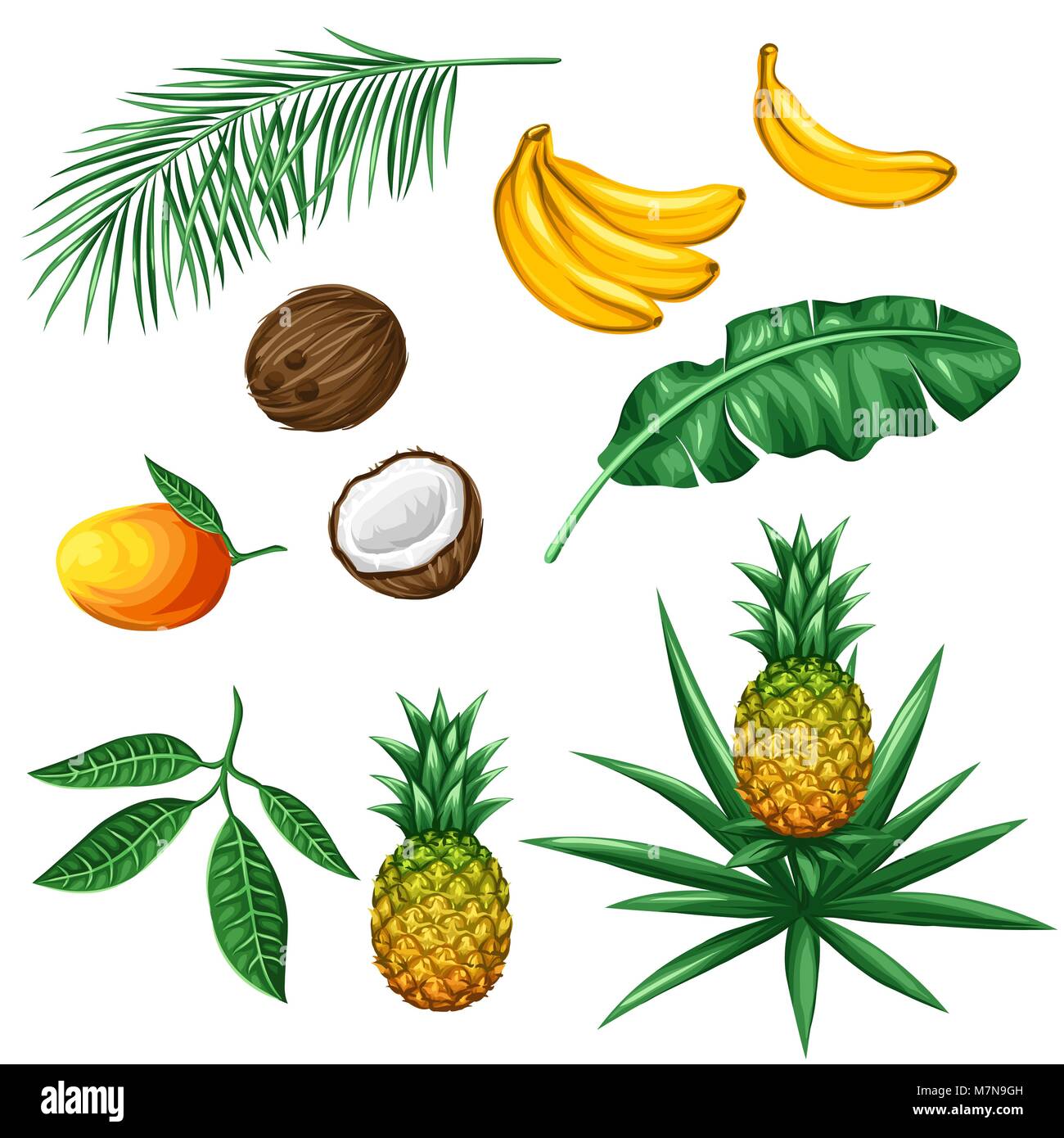 Set of tropical fruits and leaves. Objects for decoration, design on ...
