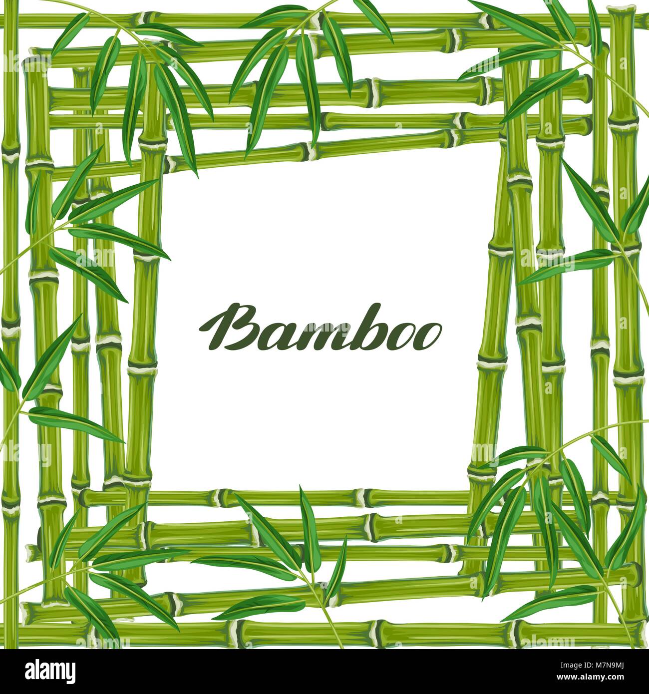 Frame with bamboo plants and leaves. Design for cards, flayers ...