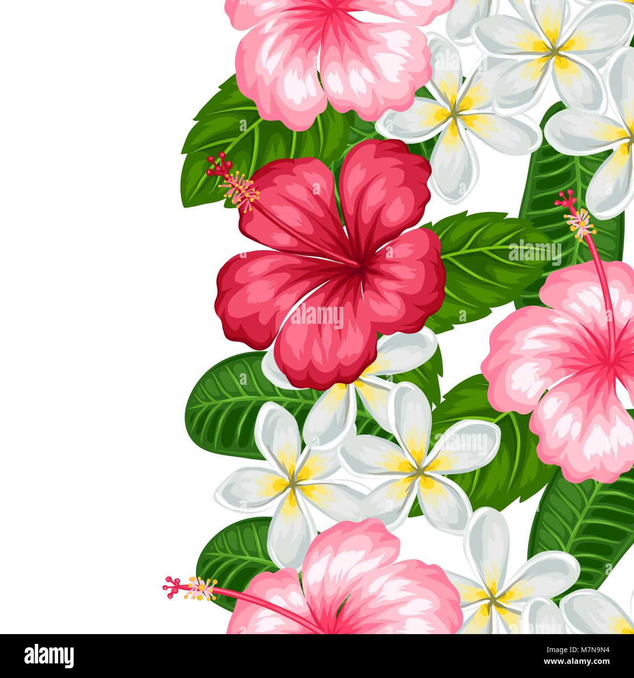 Seamless border with tropical flowers hibiscus and plumeria. Background ...