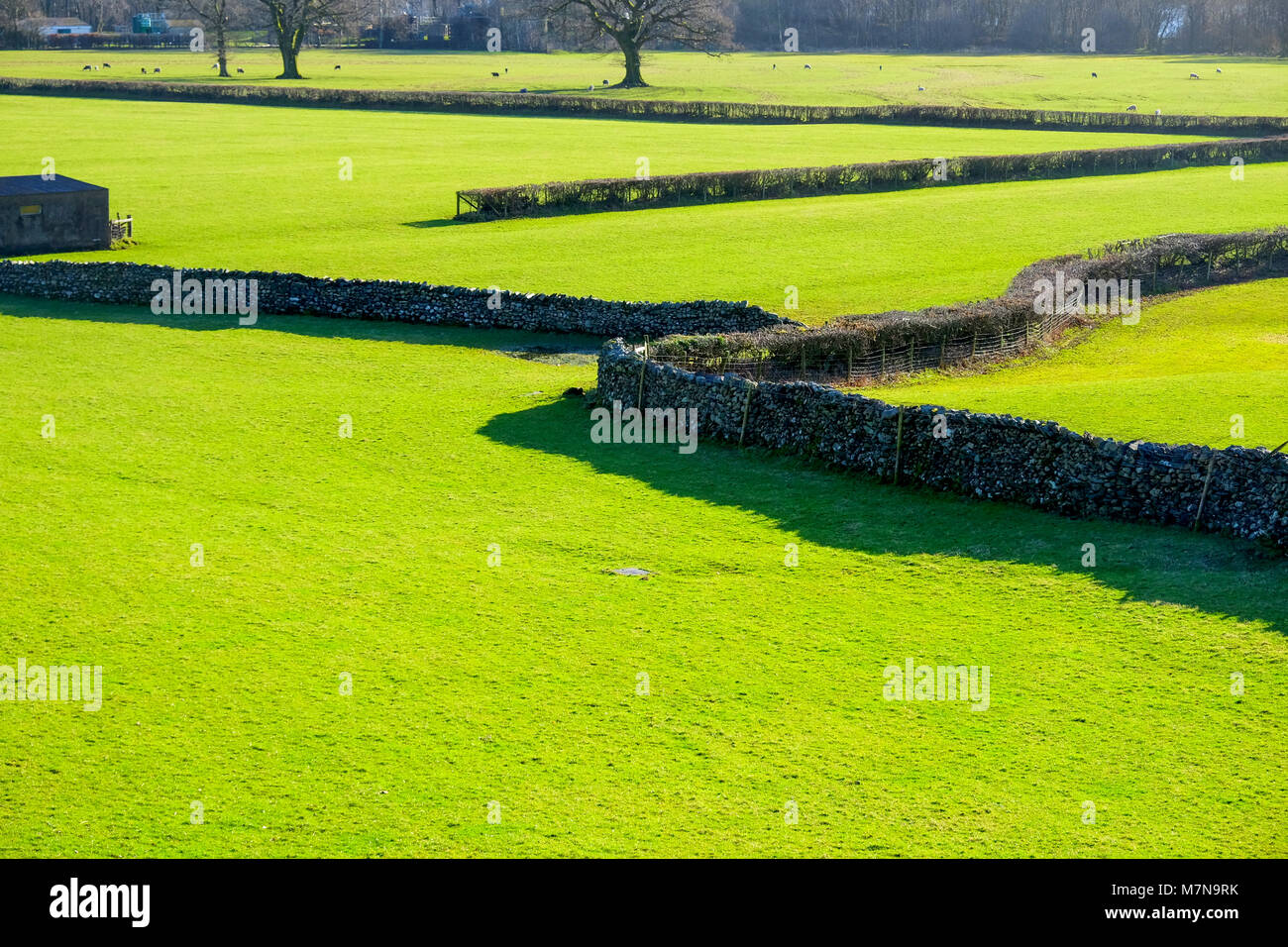 Graphic patterns hi-res stock photography and images - Alamy