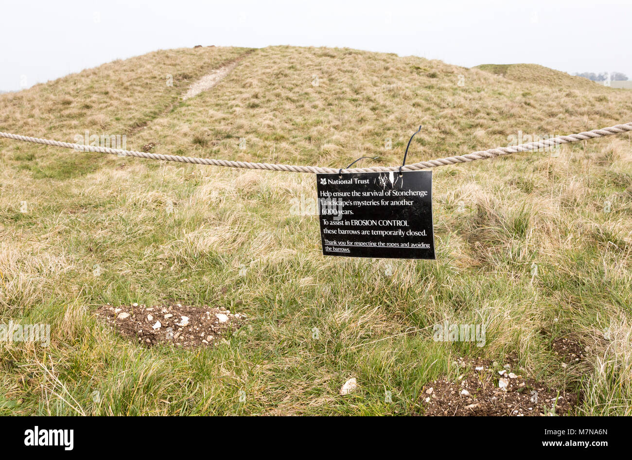 Bronze Age burial mounds Cursus Barrows, closed to the public for ...
