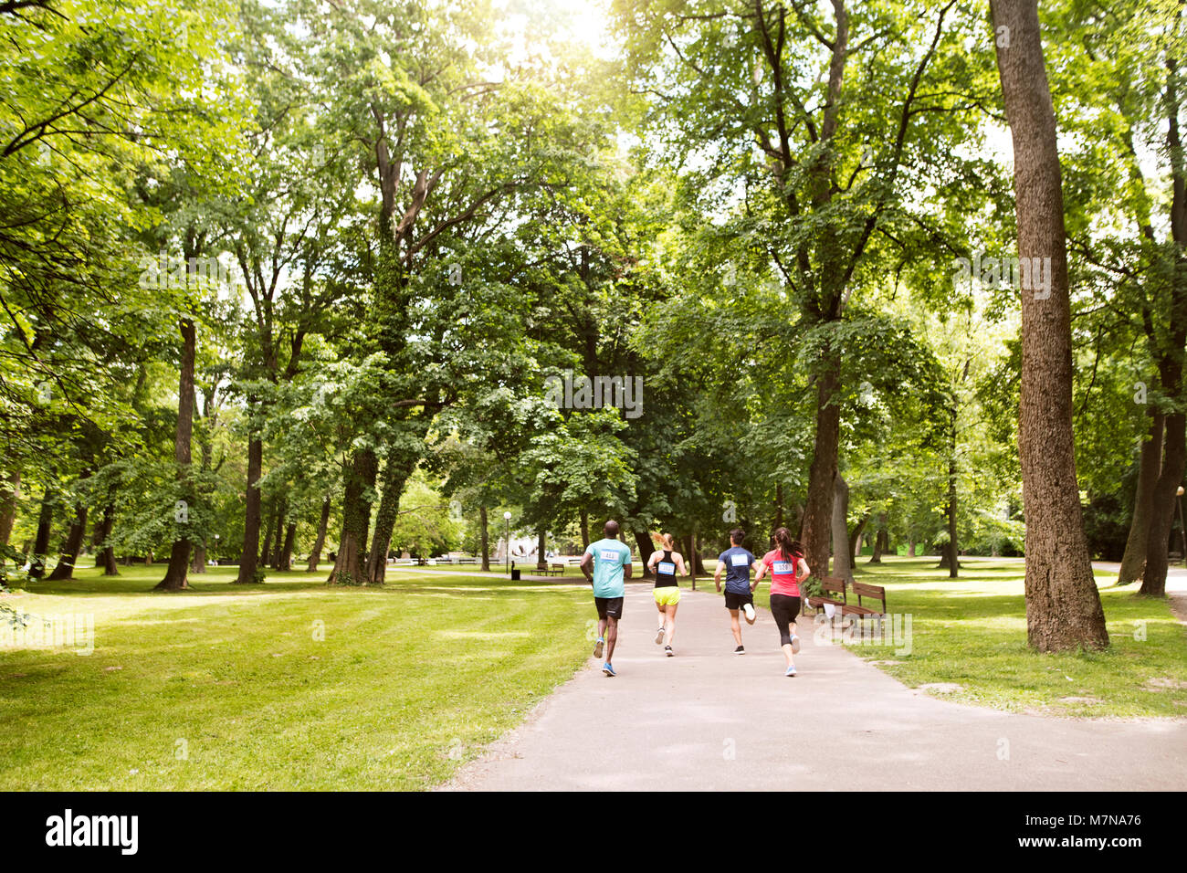 Group of young athletes running in green sunny park Stock Photo - Alamy
