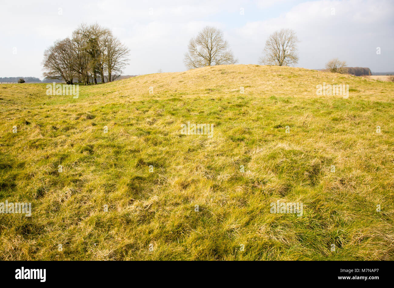White Barrow neolithic long barrow burial mound tumulus, near Tilshead ...