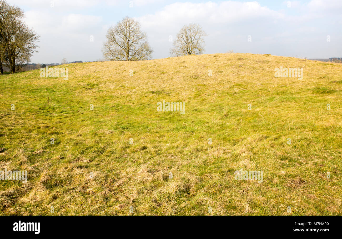 White Barrow neolithic long barrow burial mound tumulus, near Tilshead ...