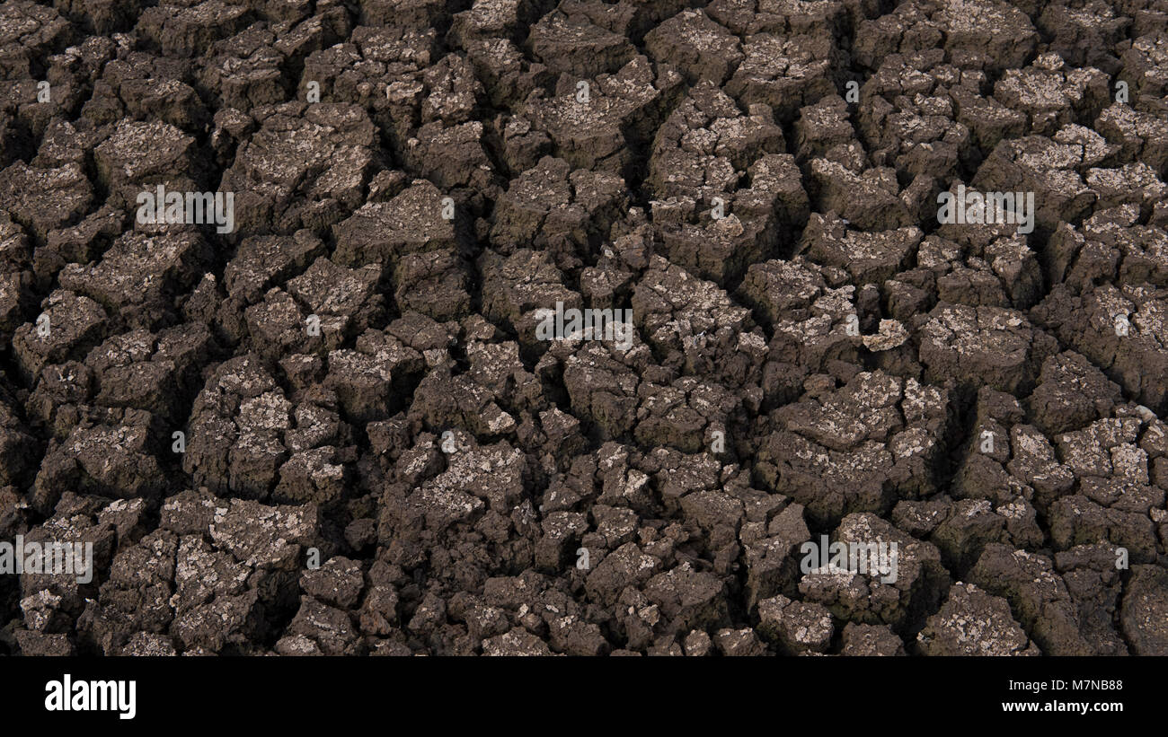 Desiccated soil showing cracks and dryness due to drought affecting ...