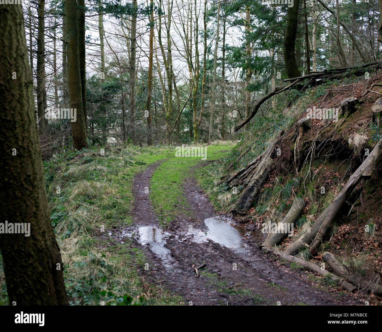 Muddy path and tracks around the side of a mountain winding its way ...