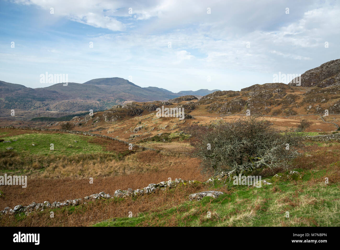 Landscape of autumn colour in the Snowdonia national park, Croesor ...