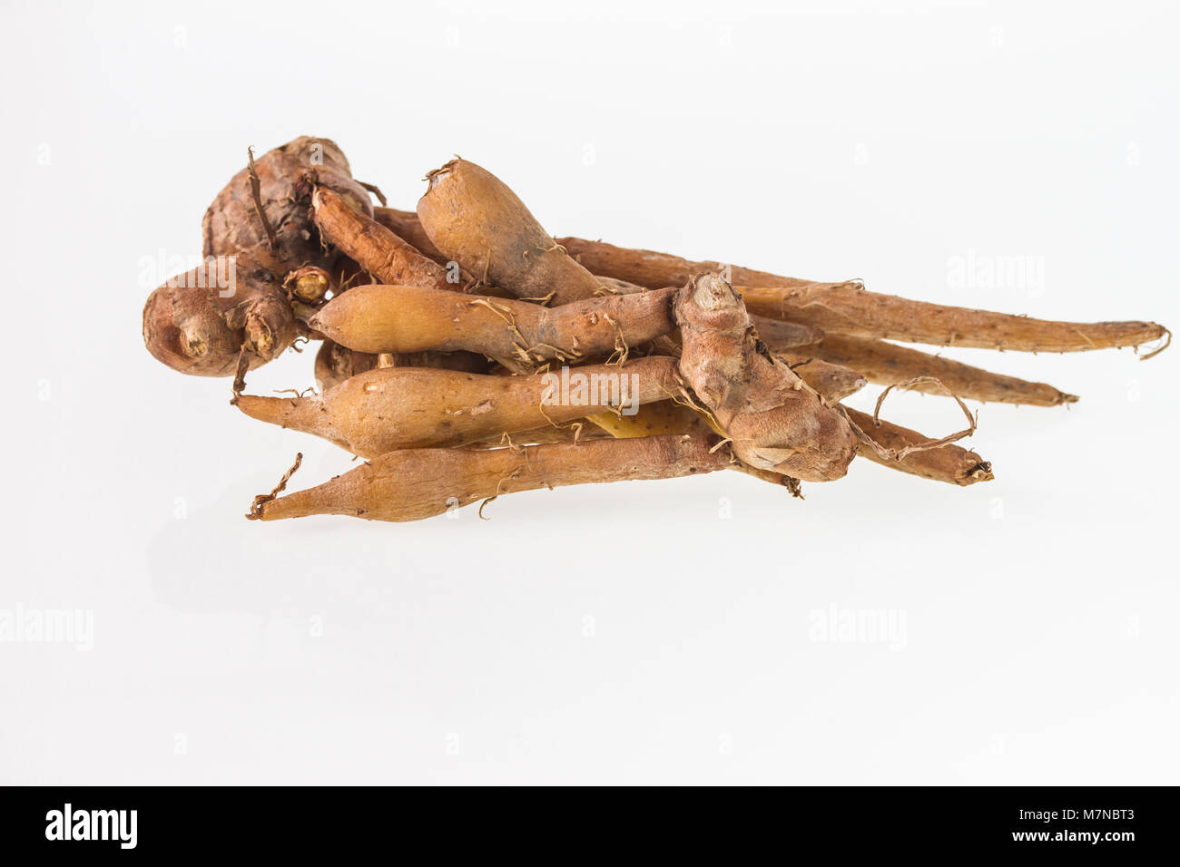 finger root Ingredients for Thai Cuisine on white background Stock ...