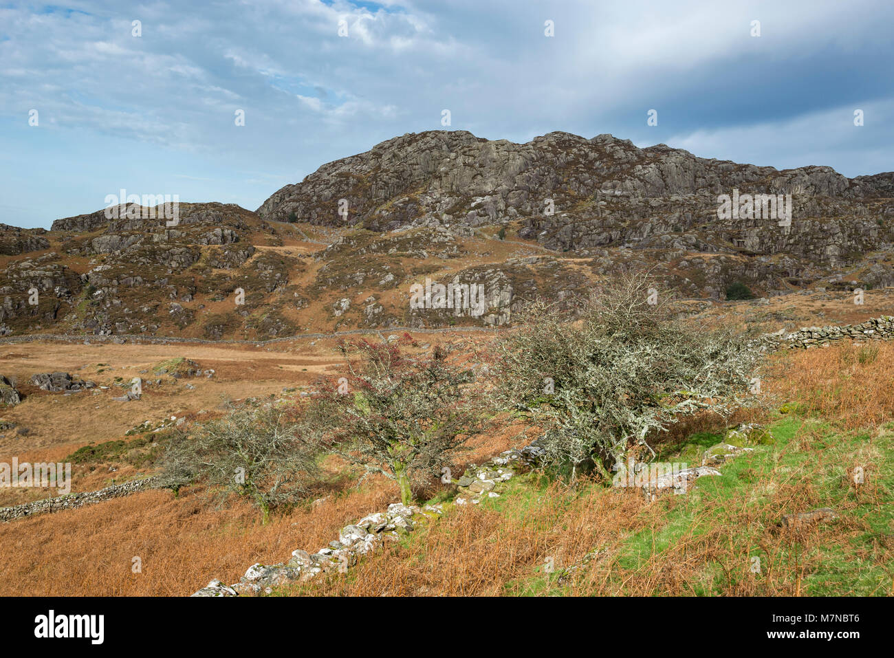 Landscape of autumn colour in the Snowdonia national park, Croesor ...