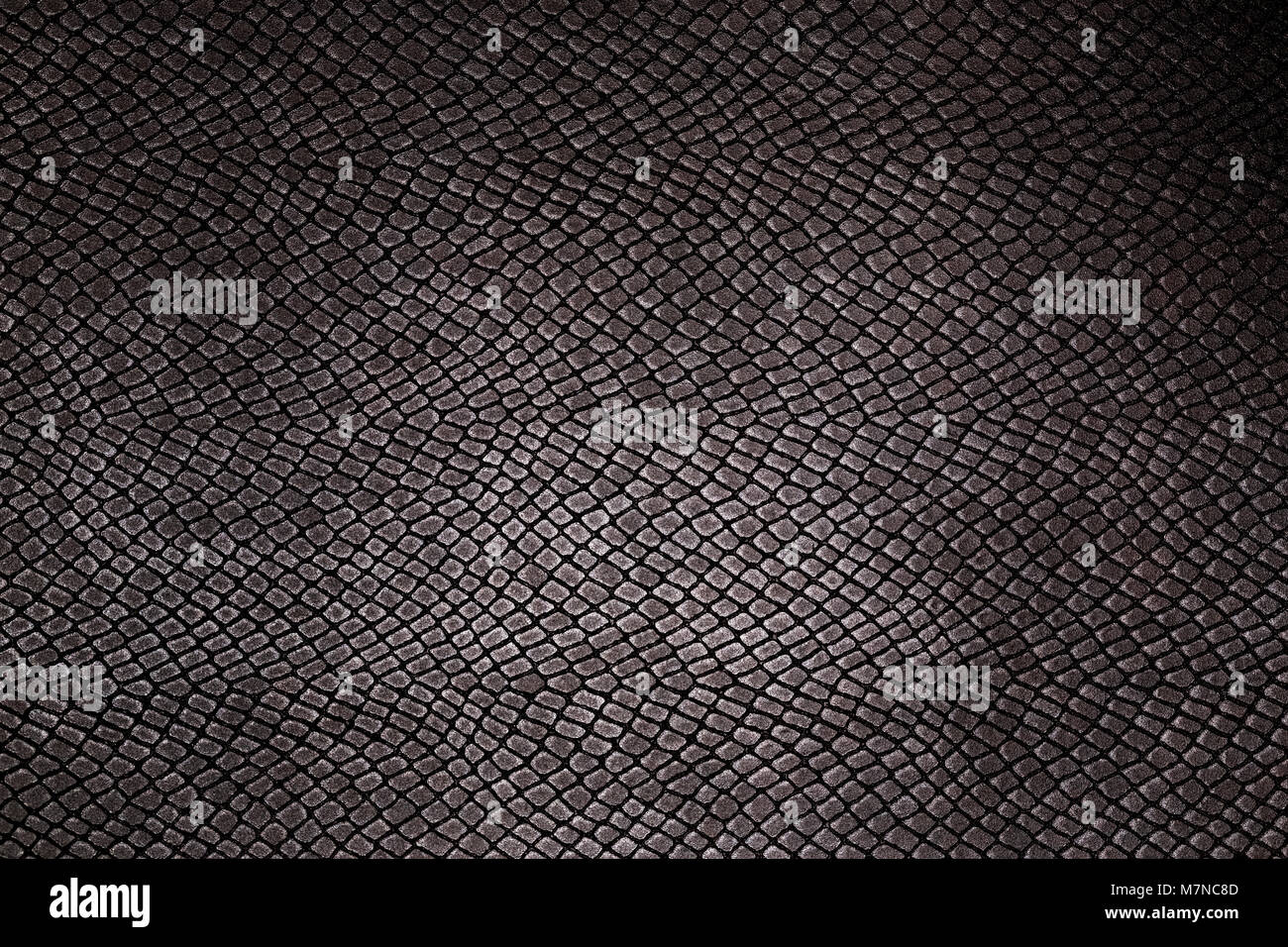 texture reptile skin background image, close-up photo Stock Photo - Alamy