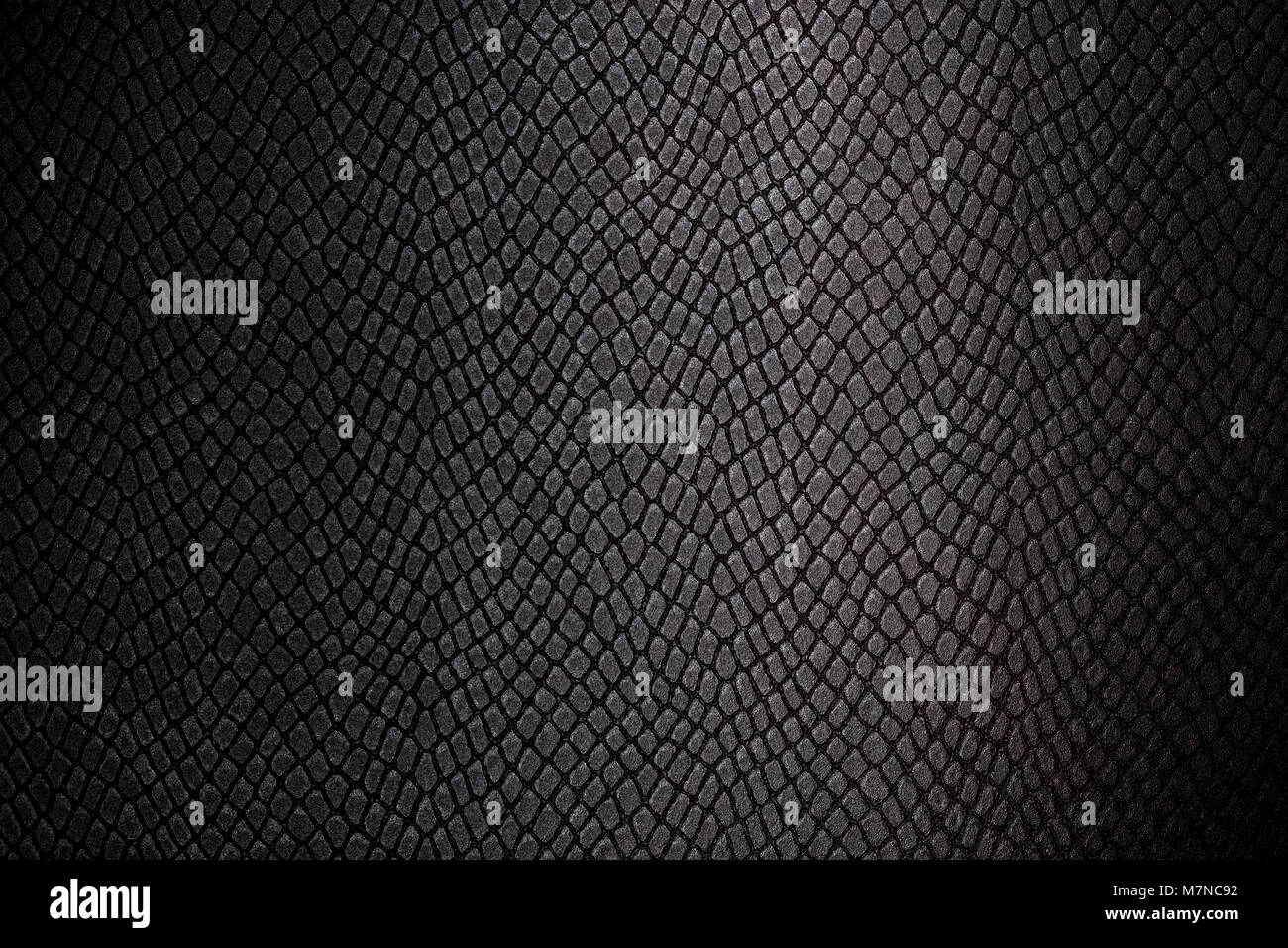 texture reptile skin background image, close-up photo Stock Photo - Alamy