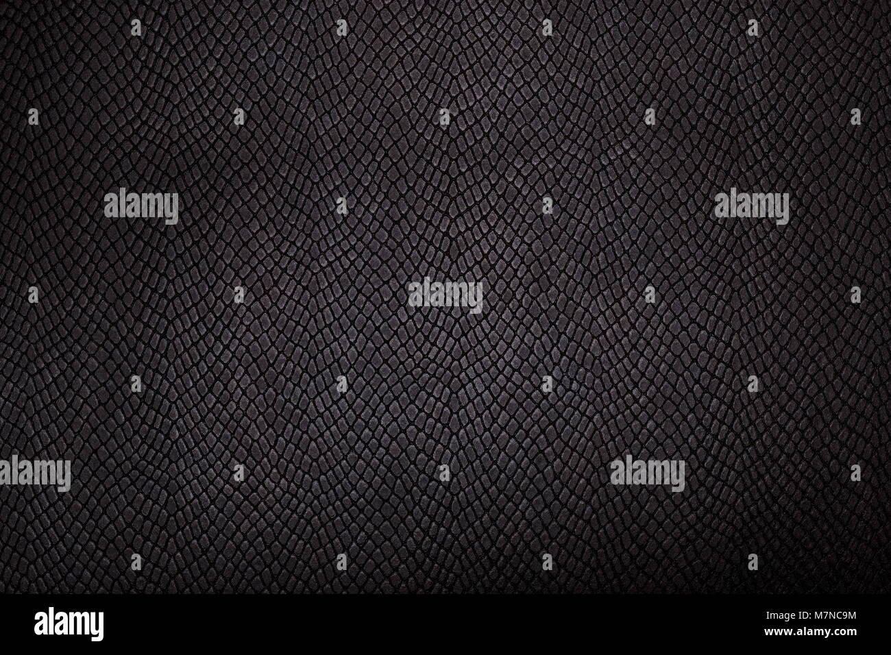 texture reptile skin background image, close-up photo Stock Photo - Alamy