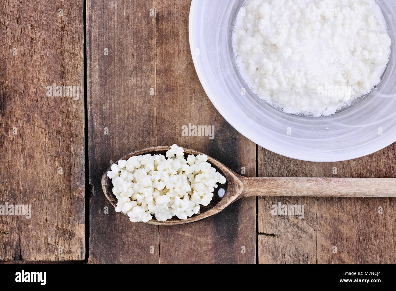 Fresh Kefir grains and whey. Kefir is one of the top health foods ...