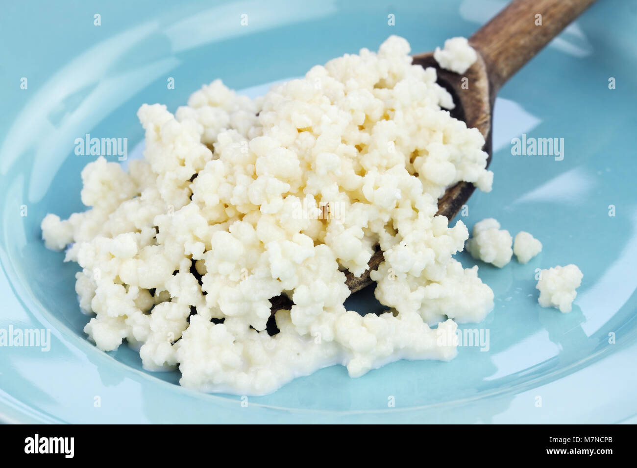 Fresh Kefir grains. Kefir is one of the top health foods available ...